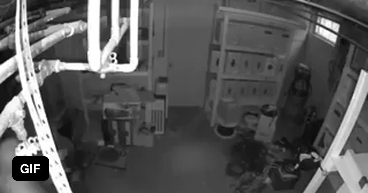 Drug dealer hides from SWAT team - 9GAG