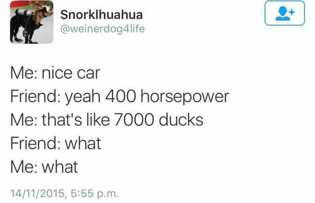 Duck power - 9GAG