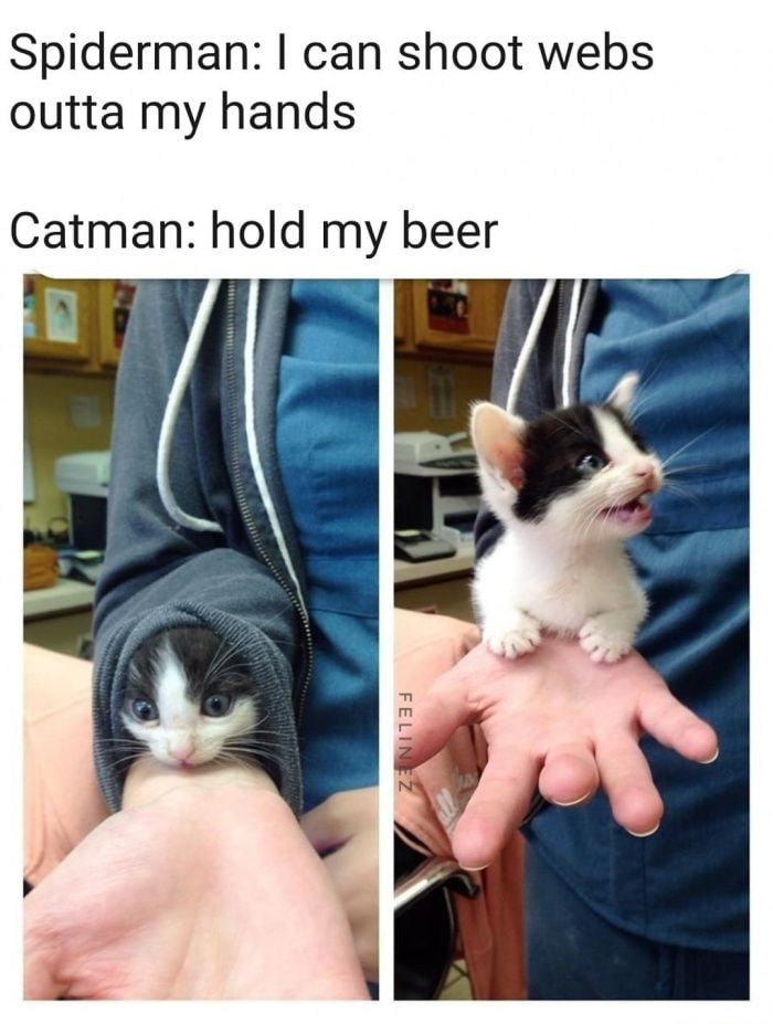 PLEASE DON'T KILL ME...CATMAN! - 9GAG