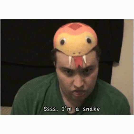 I can't find the mashup of this, where you see the I'm gay, I'm a star ...