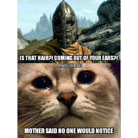 Sad Khajiit - 9GAG