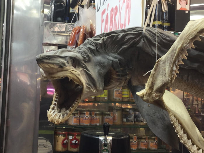 A dried shark at a market in Valencia. - 9GAG
