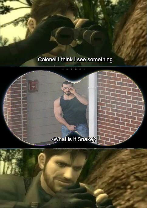 His snake is solid - 9GAG