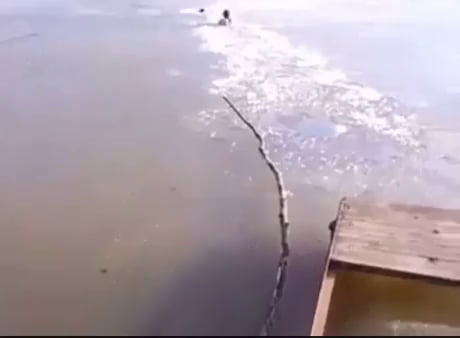 This guy breaking trough ice to save a dog - 9GAG