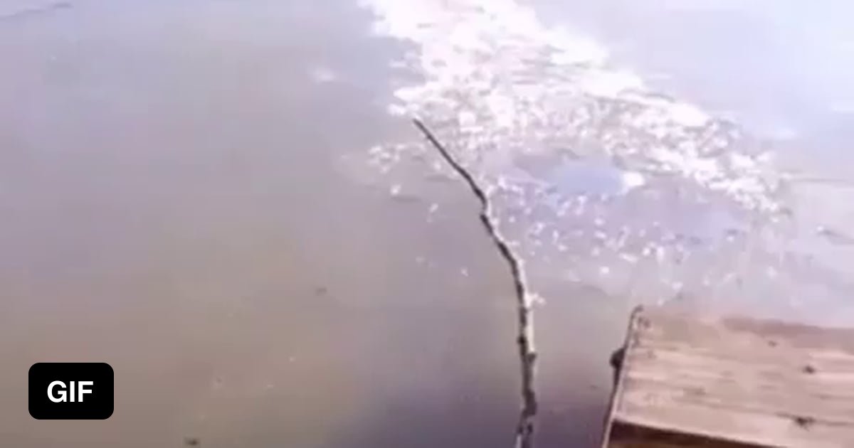 This guy breaking trough ice to save a dog - 9GAG