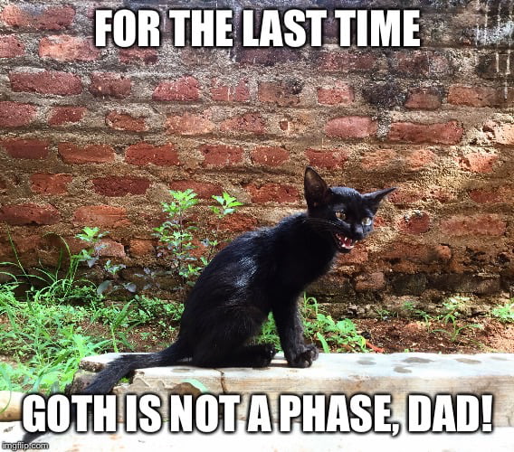 I’ll find my thicc goth gf - 9GAG