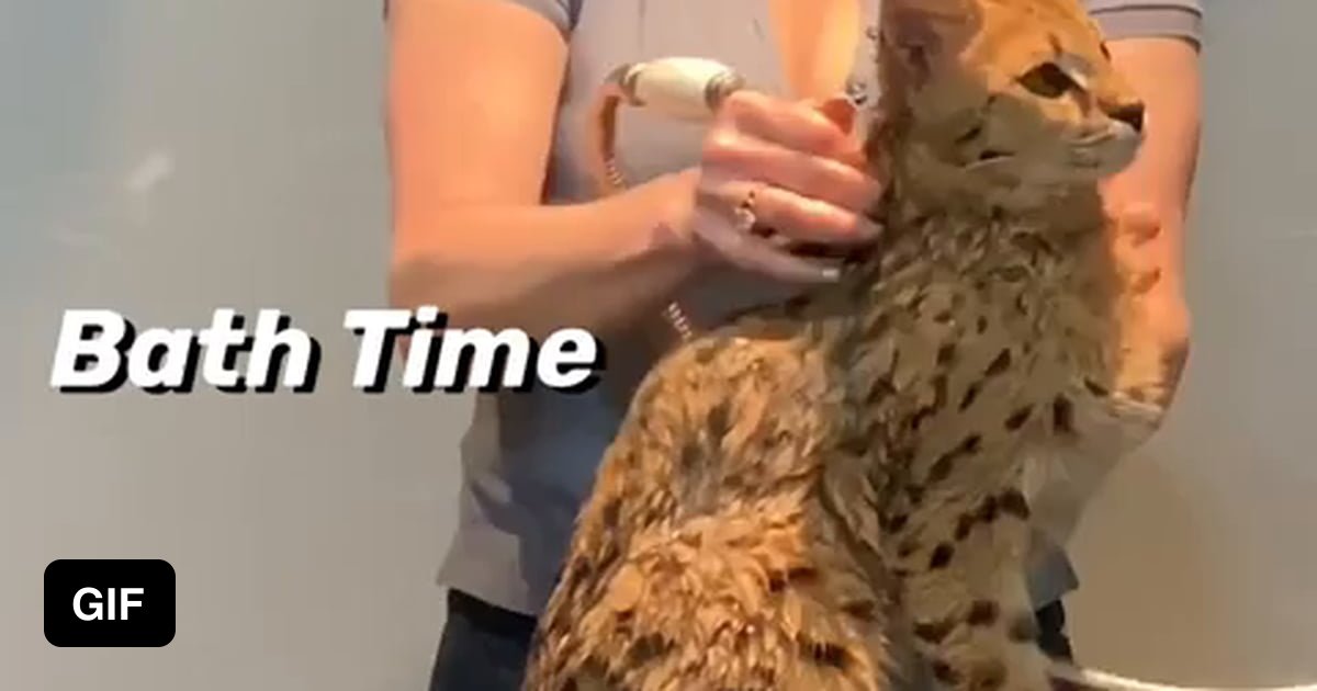 Rub-A-Dub Lancelot - 9GAG