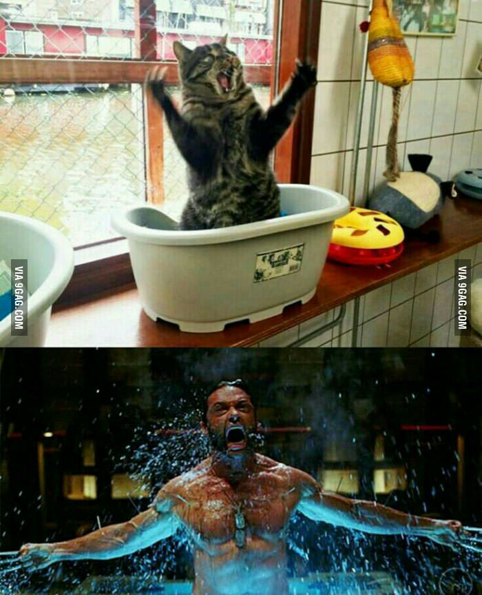 Wolverine bathtub action - 9GAG