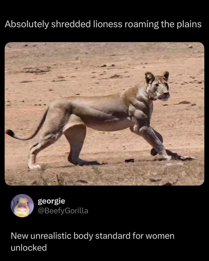 Guess I need to hit the gym harder. - 9GAG