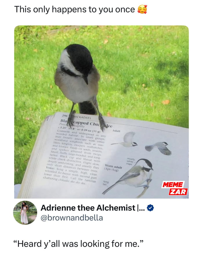 Just checking my stats. - 9GAG