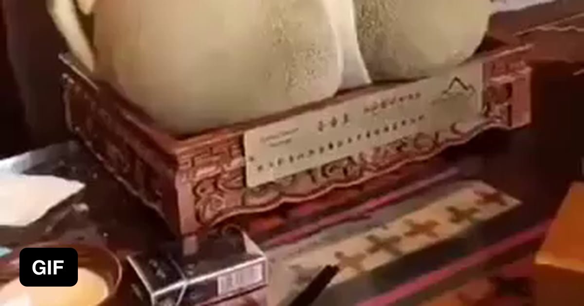 When it comes out hot & ready - 9GAG