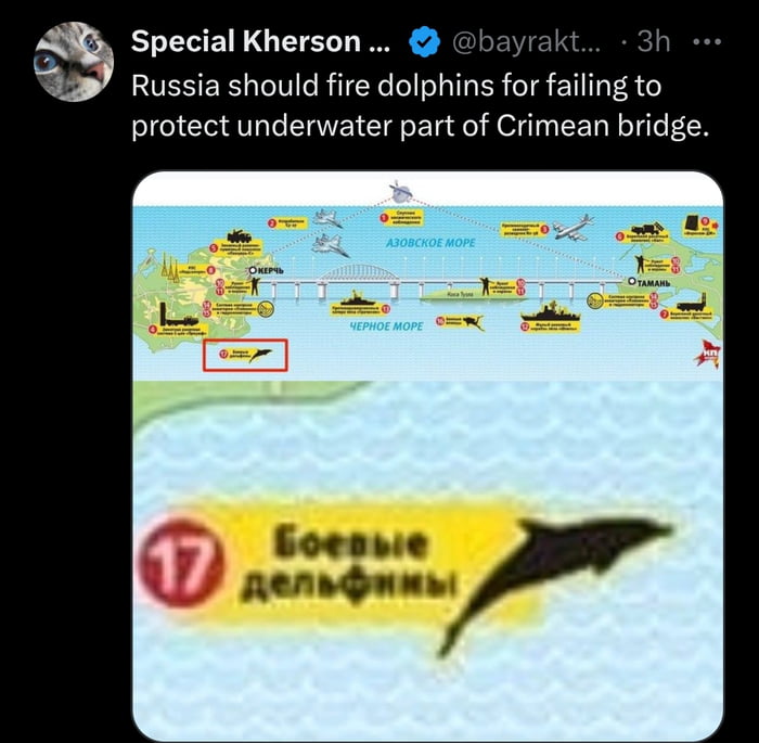 What's sea defense doing? How is sea defense doing? Do they feel well ...