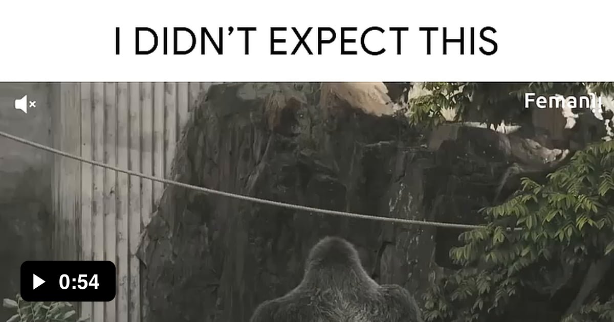 Misunderstood - 9GAG