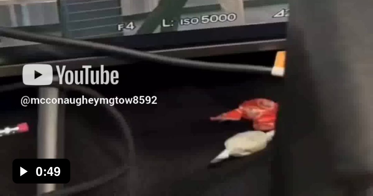 Wife busted with lover on airport cam - 9GAG