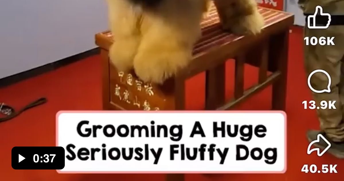 An absolute furry giant - 9GAG