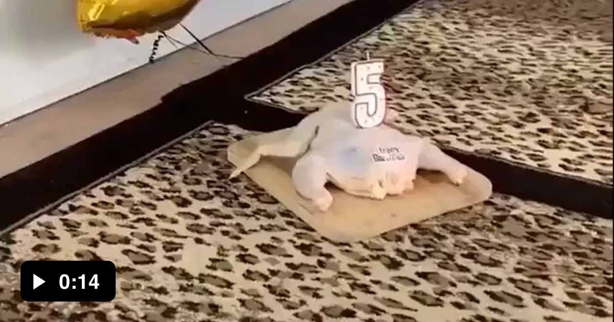 Chill bro. It’s yours - 9GAG