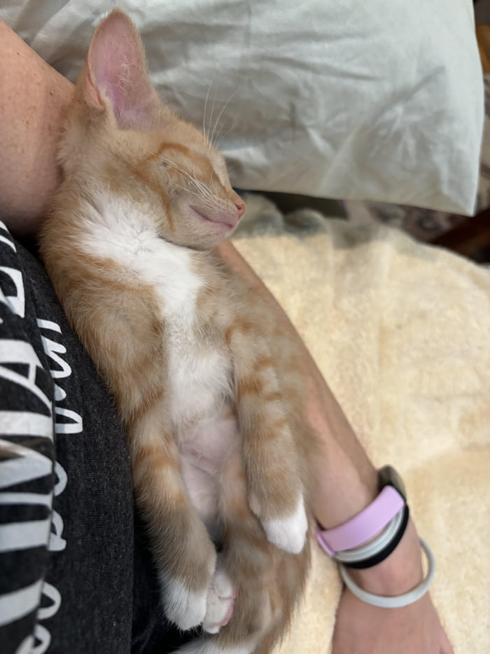 Maximum comfort achieved - 9GAG