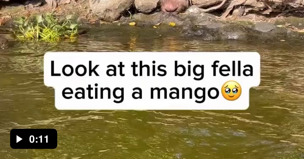 Big fella - 9GAG