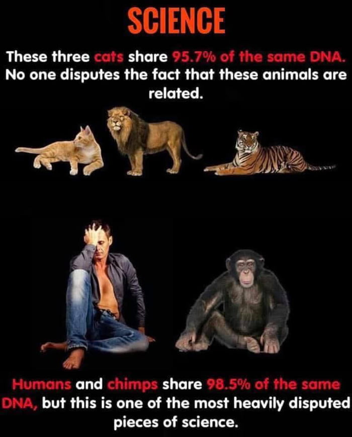 Same, same but different - 9GAG