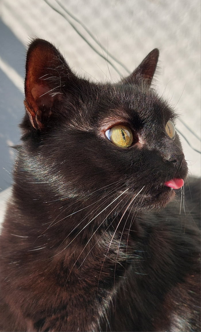 Confused look, cause i interrupted her while cleaning - 9GAG