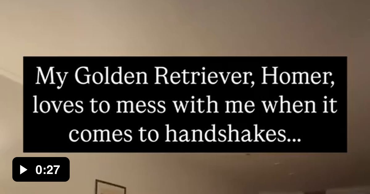 Homer's little handshake at the end 🤣🤝🏾 -- Parker McVay - 9GAG