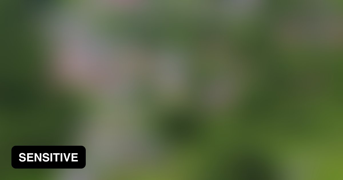 Nice view , guess who? - 9GAG