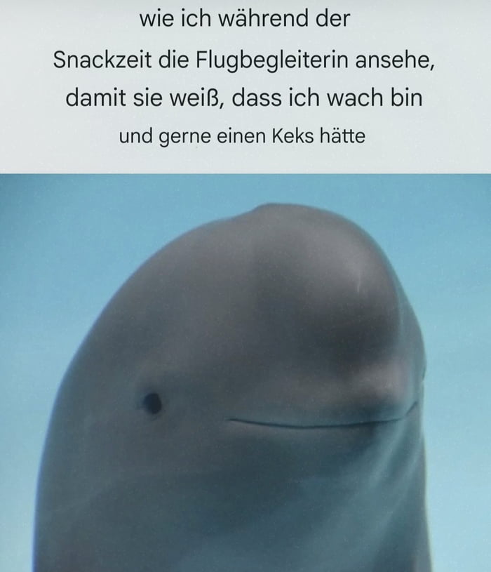 Einer von uns - 9GAG