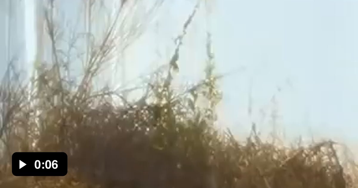 Hey 9GAG Champ... - 9GAG