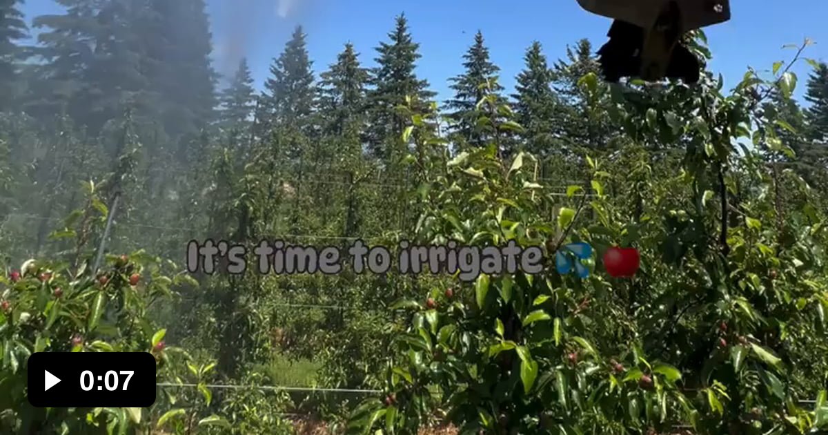 Cool water system - 9GAG