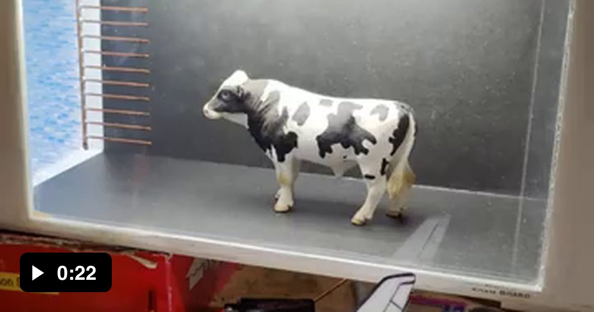 Aerodynamics of a cow - 9GAG
