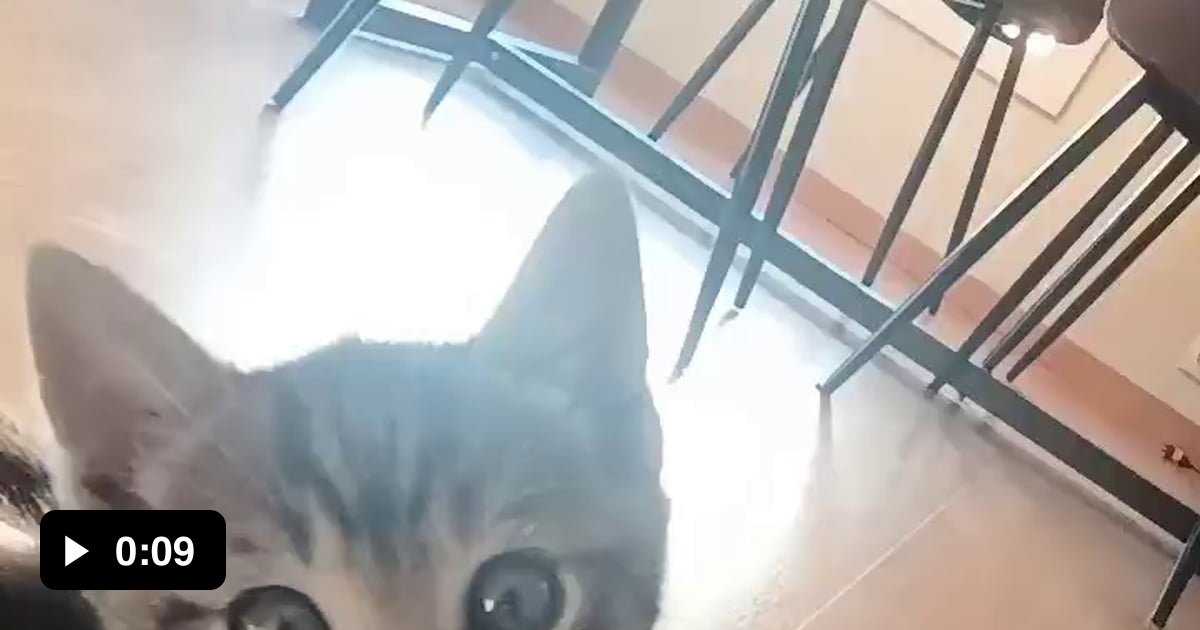 First time seeing a camera - 9GAG