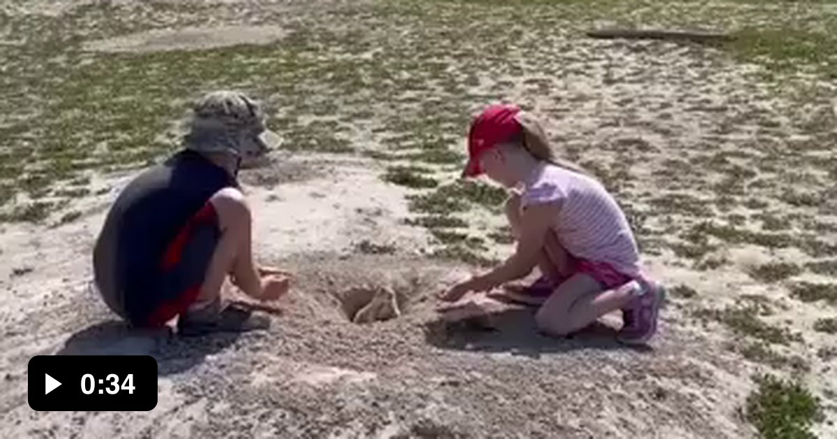 Never let them know your next move - 9GAG