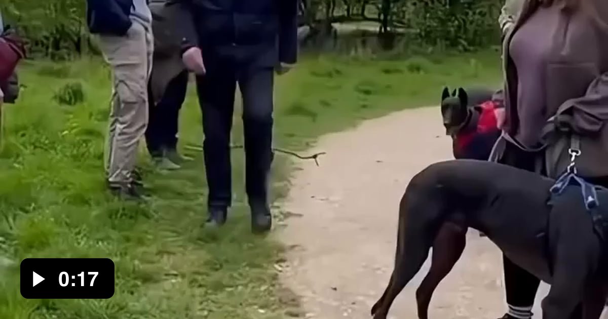 The self confidence 😂 - 9GAG