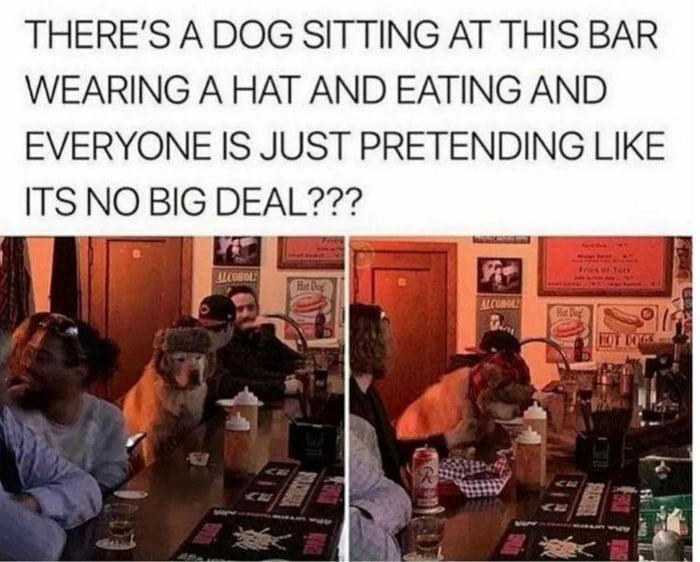 Rough Times for the Dog... - 9GAG