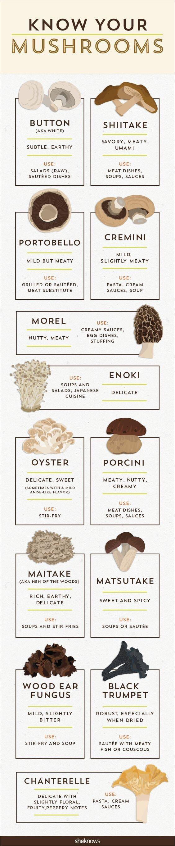 A cool guide for mushrooms! - 9GAG