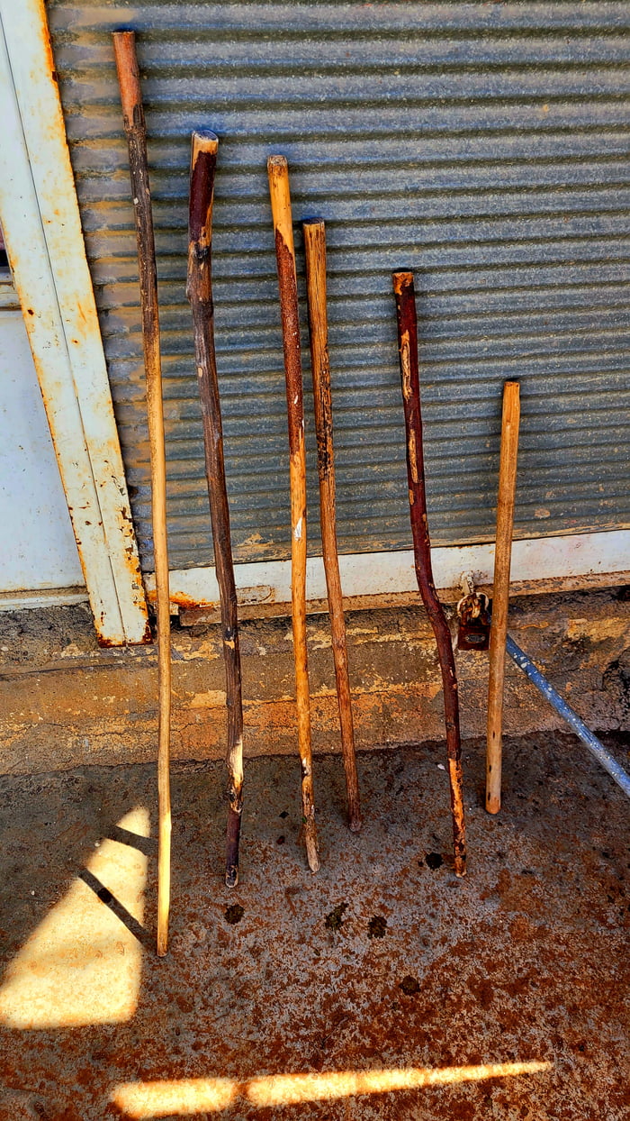 My grandfather died in 2008. This is his stick collection. We still use ...