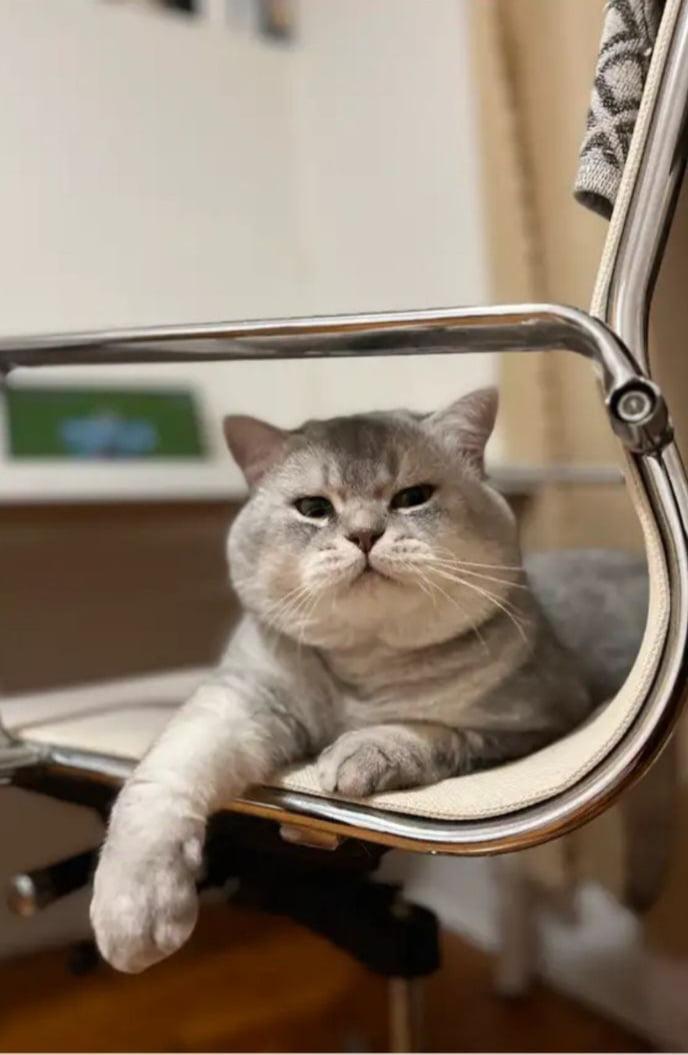 Help find a name pls - 9GAG