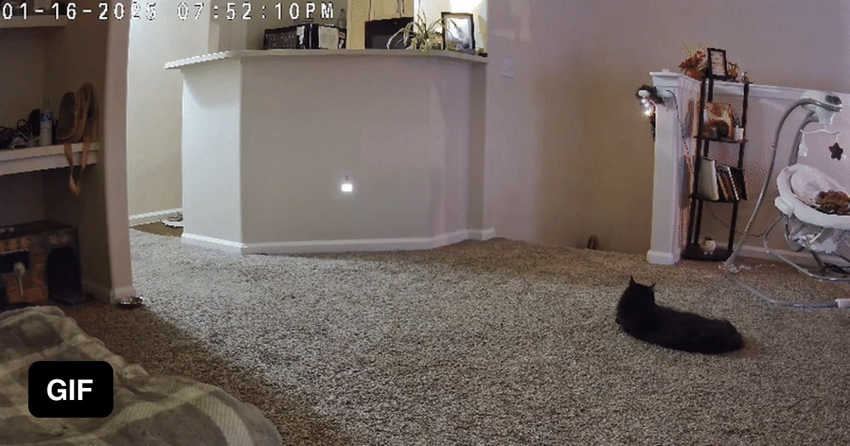 Corner shelf fell over by itself - 9GAG