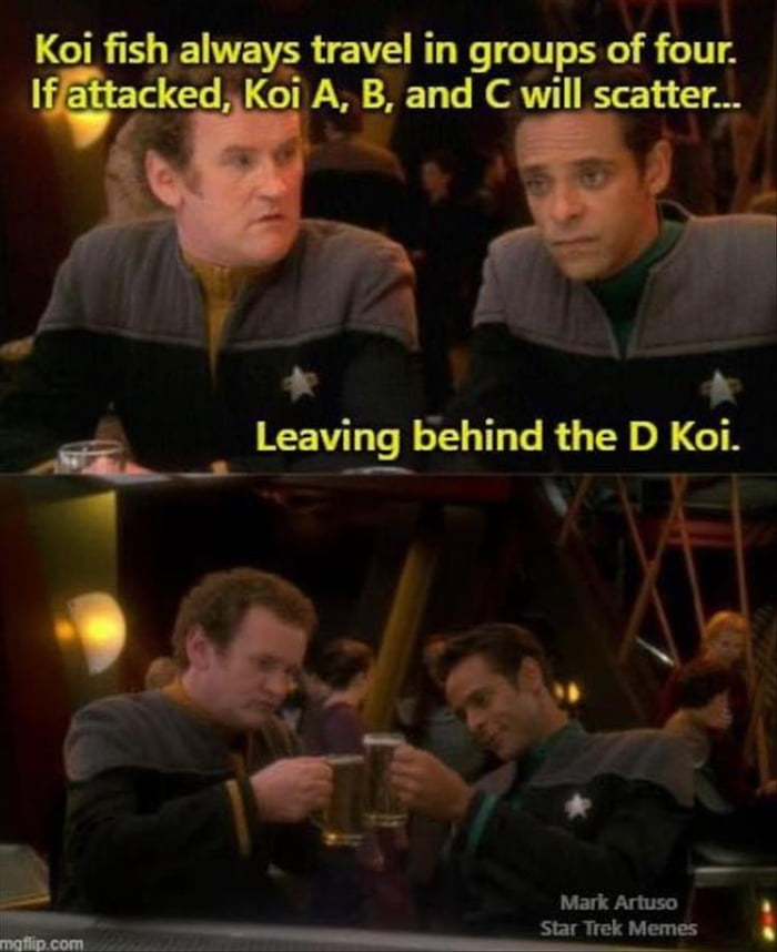 Something fishy going on - 9GAG