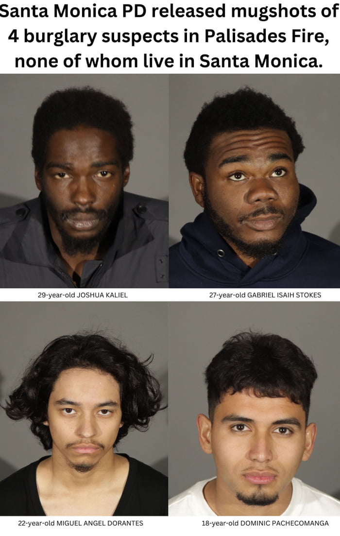 Santa Monica PD released mugshots of 4 "volunteer" suspects in Palisades Fire, none of whom live ...