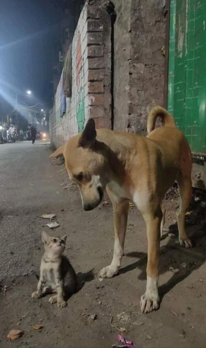 Same feelings - 9GAG