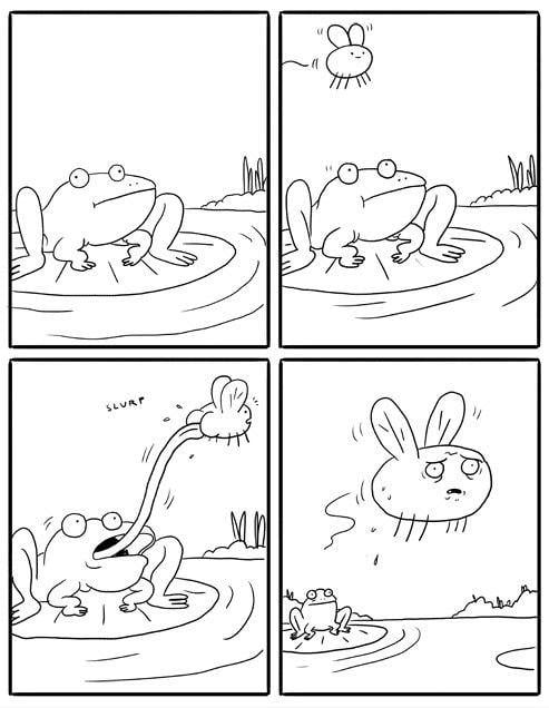 The frog and The fly - 9GAG