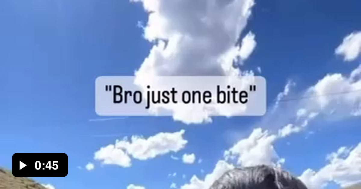 Just one bite is not enough 🐿️ - 9GAG