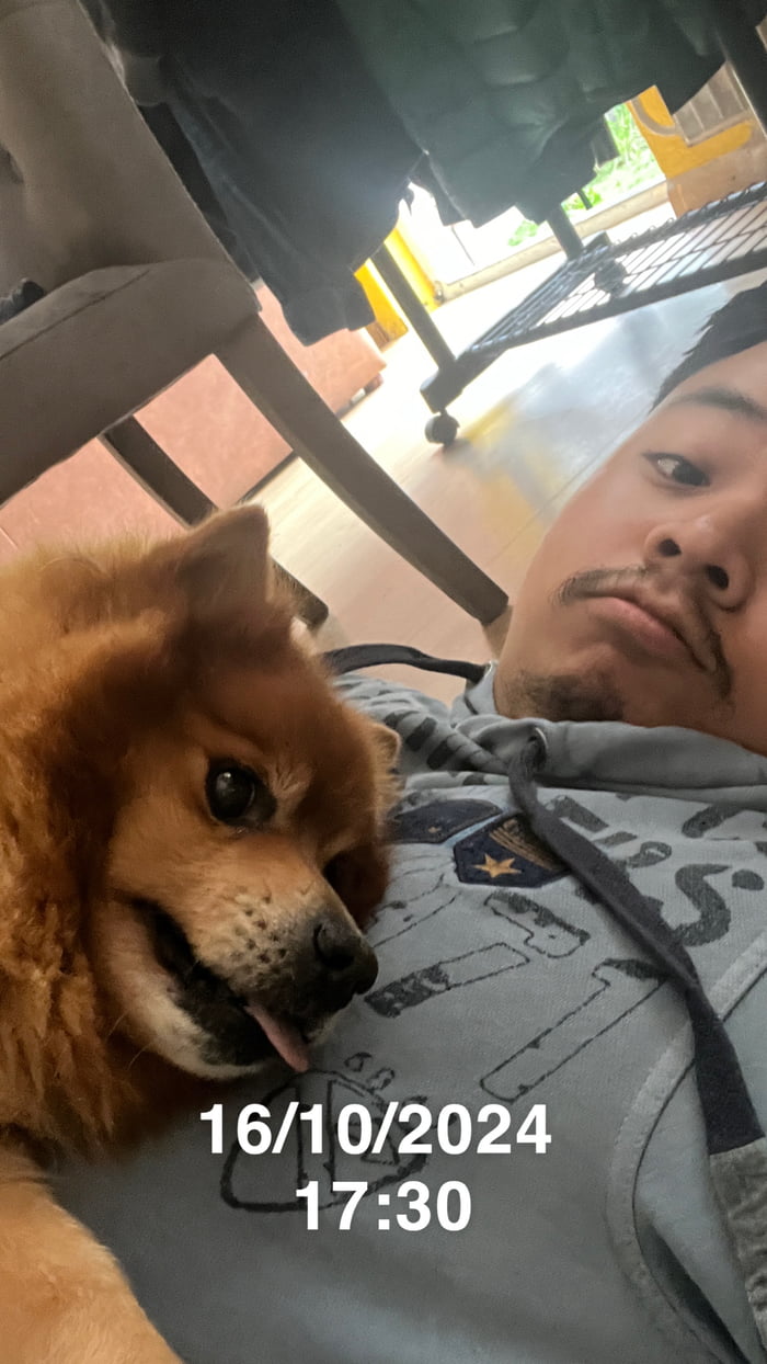 Departed too soon. 13 years old and the best boy with no comparison - 9GAG