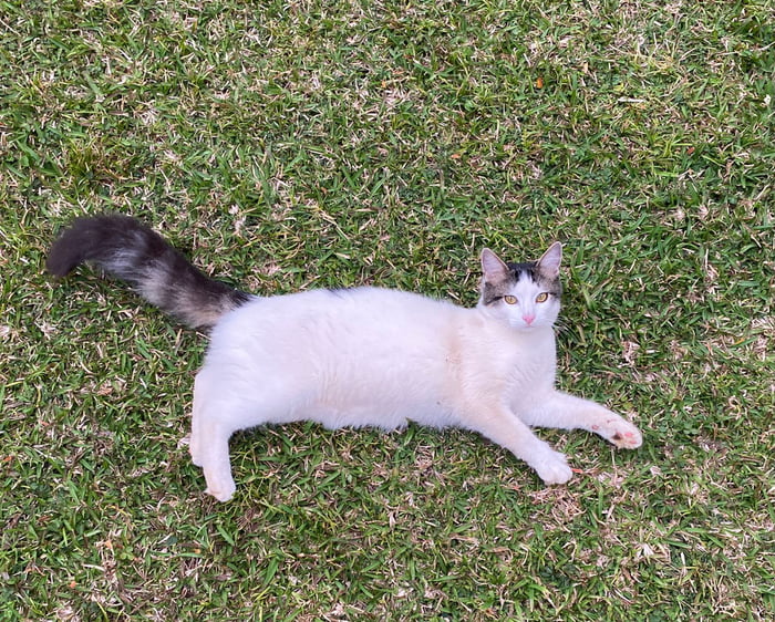 She adopted us a few months back. - 9GAG