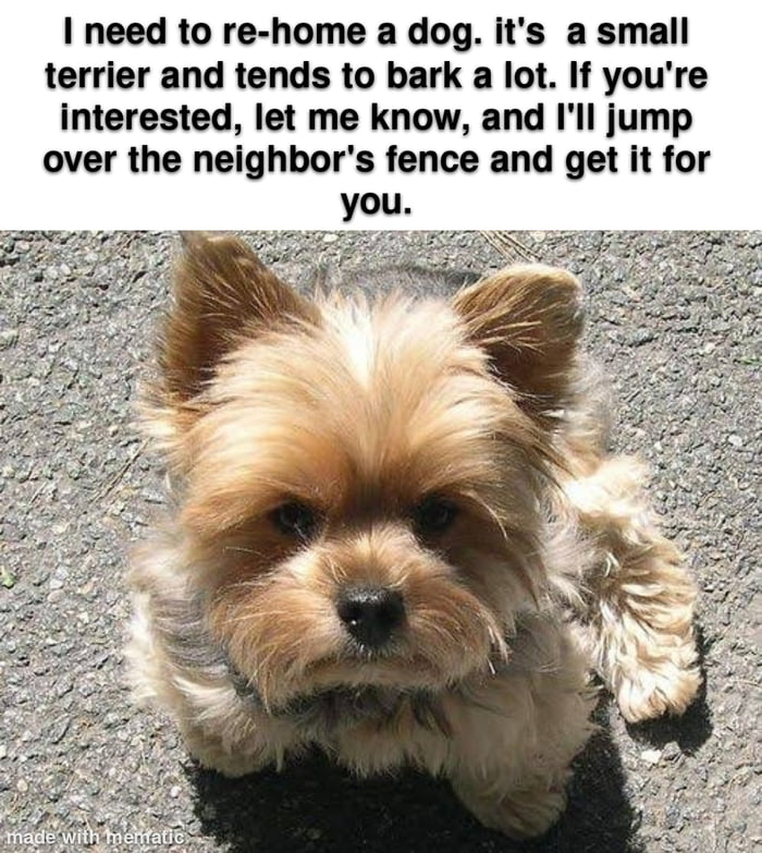 No title needed - 9GAG