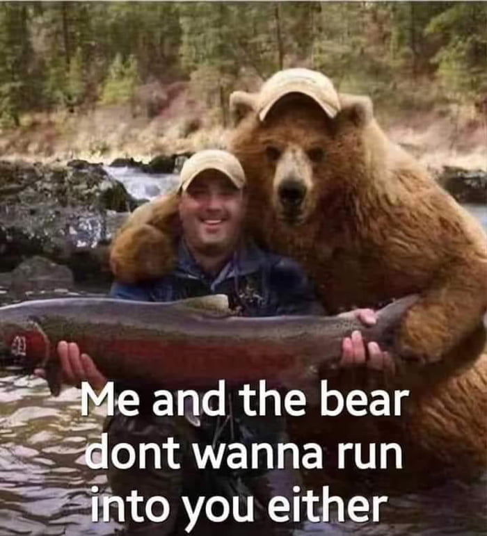 Ha . I have a few new bear memes if anyone is interested. - 9GAG