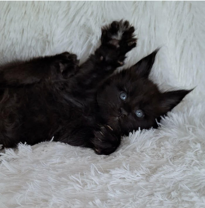 Saying hi on camera hahaha good vibes! - 9GAG