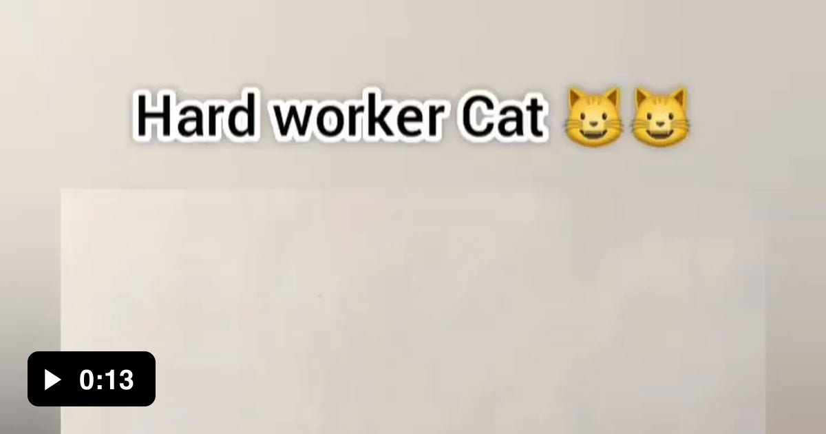 Most hardworking in the office - 9GAG