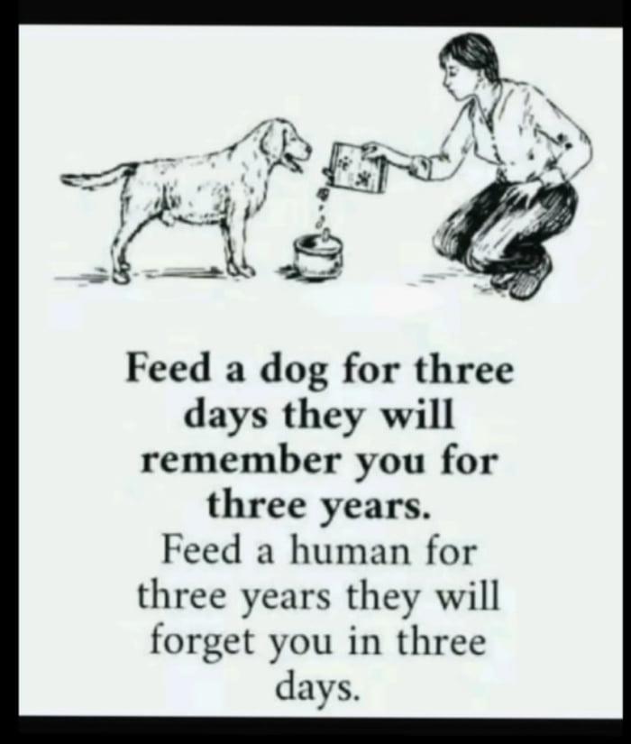 🐶 Remember You - 9GAG